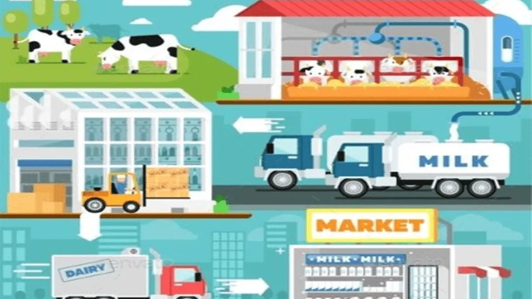 Handling of Cocoa & Derived product | PMG Engineering