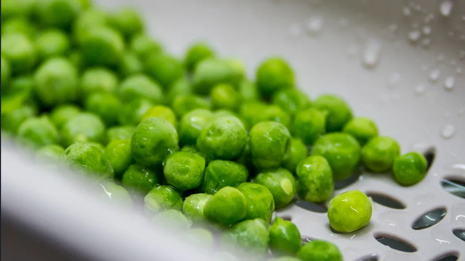 Washing equipment for plant proteins | PMG Engineering