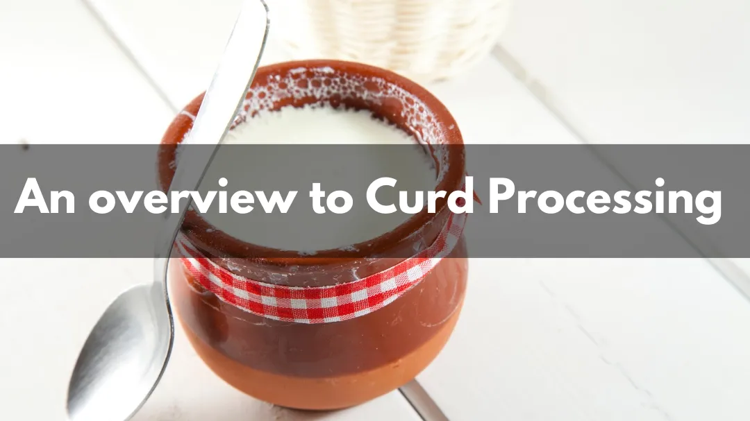 An overview to Curd Processing | PMG Engineering