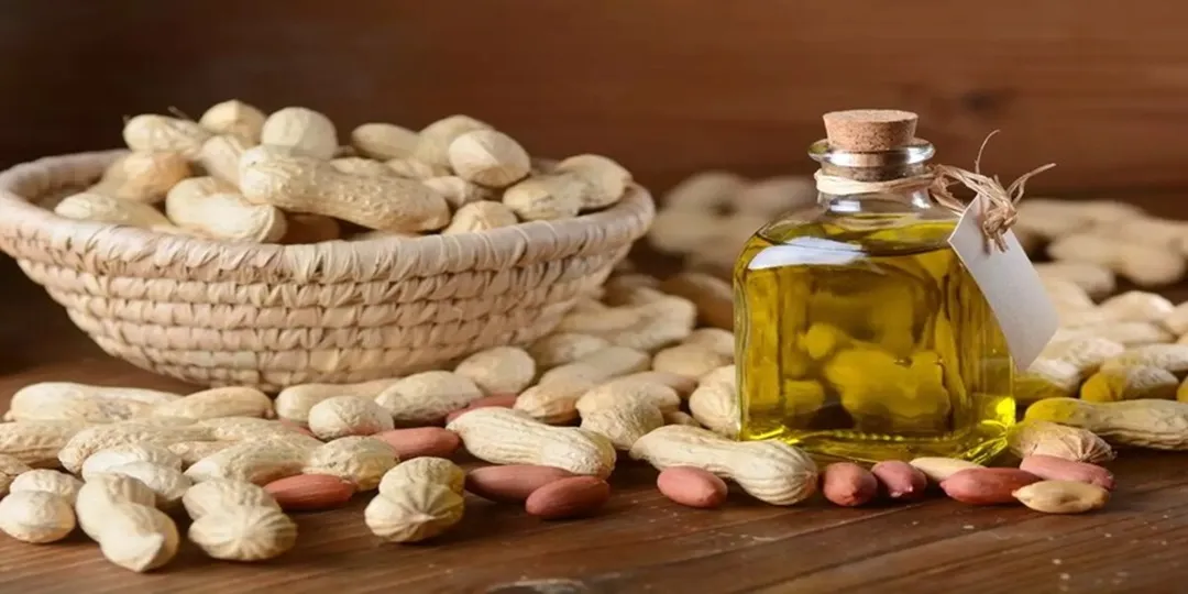 Groundnut Oil Processing | PMG Engineering